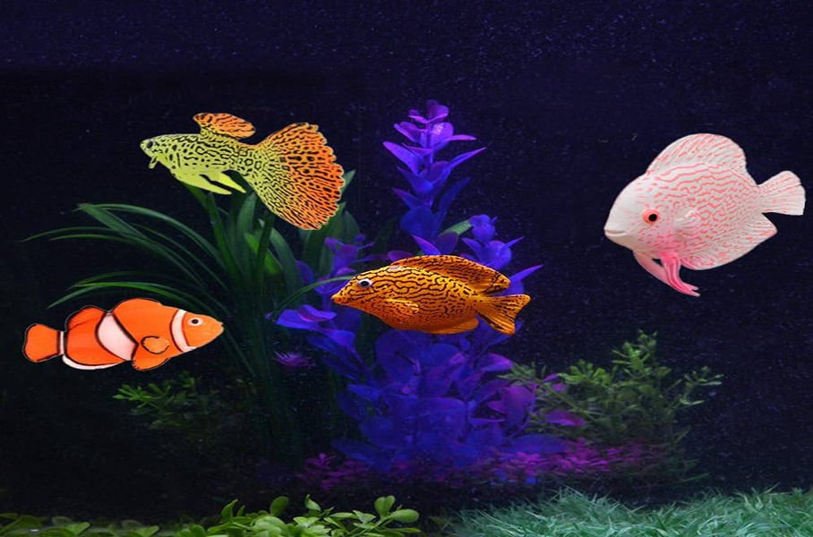 Fish Acclimation Tips & Water Chemistry Guide - Overseas Aquatics